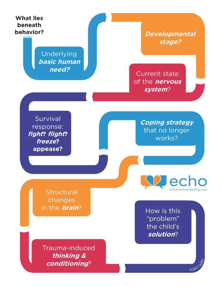 Infographics - Echo