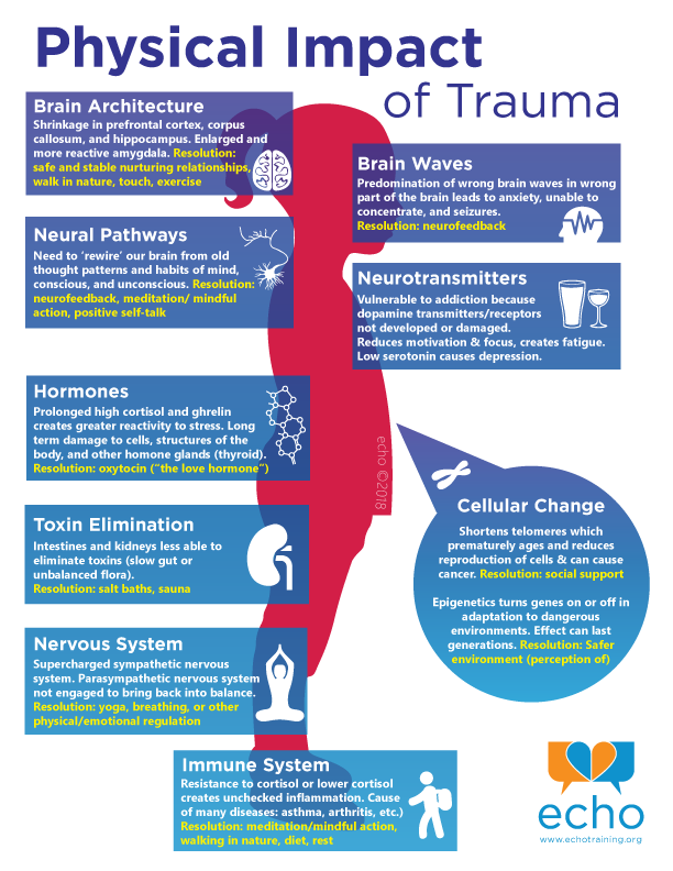 Infographics Echo Infographics Echo
